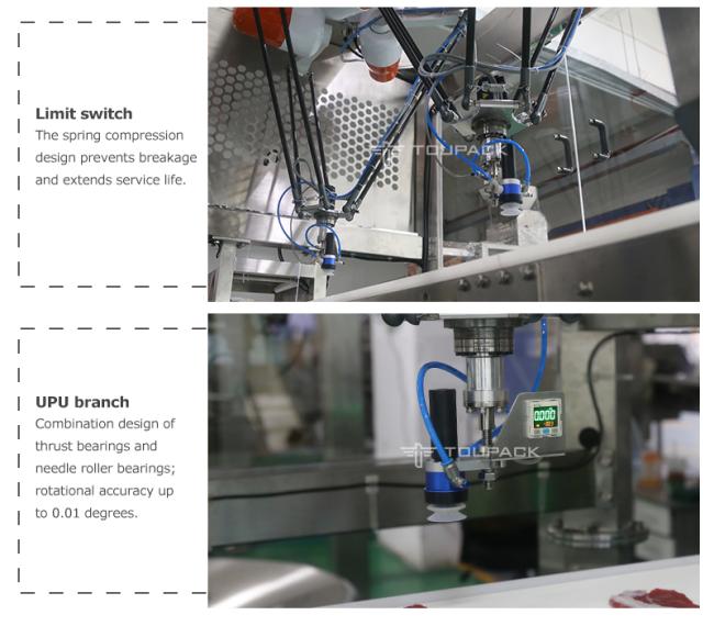 Meat Delta Robot Weighing System - Close-up of Weighing Mechanism