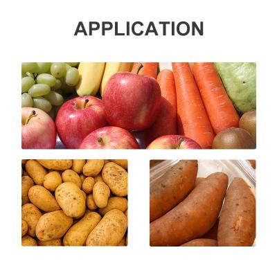 China 25 Bag / Min Carrots Sweet Potatoes Strapping Machine Fully Automatic for sale