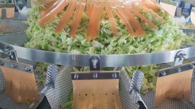 China 100-3000g Fruit Salad Weighing Packing Machine With 14 Head Weigher 60P/M for sale