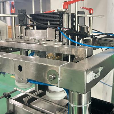 Cina Confezionatrice automatica per pesare e confezionare completamente pesce surgelato, pollo, tacchino, manzo, polpette - Confezionatrice per carne per costine in vendita