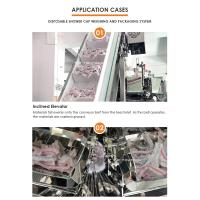 China Plastic Fork Automatic Packing Machine Shower Cap Packaging Machine Multihead Weigher Packaging System for sale