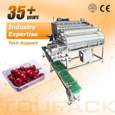 China Linear Weigher Automatic Cherry Tomato Fruit Vegetable Tray Sealing Packaging Line With High Precision Weighing System for sale