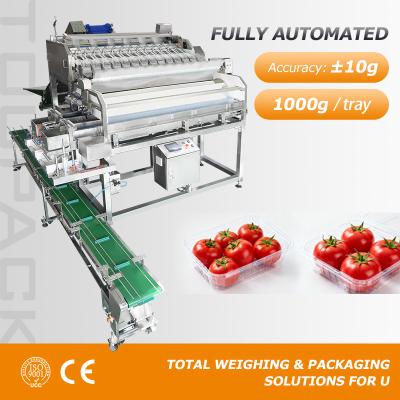 China High Speed Blueberry Packing Machine With Multihead Weigher Auto Box Filling System for sale