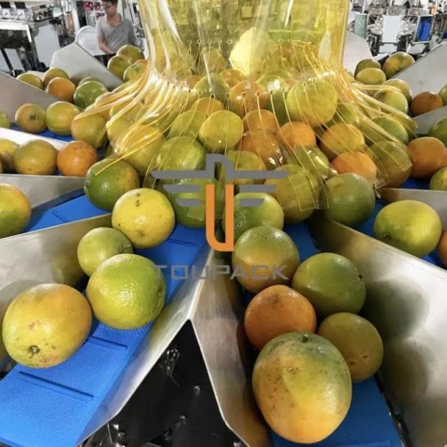 Full operational view of the packing machine