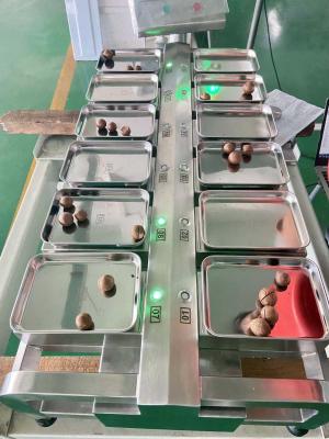Нержавеющая сталь 304 веся масштаба головы Weigher 12 комбинации еды столешницы