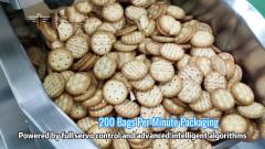 200g-1000g Automatic Vertical Packaging Machine for Granules and Snack Products