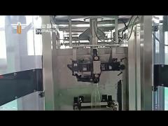 Sunflower Seeds Weighing & Packaging System