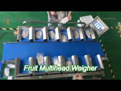 Manual 12 Head Belt Feeding Noodles Packaging Machine