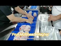 Rotary Vacuum Bag Packaging Machine Beef Cubes Weighing And Packaging System Multihead Weigher