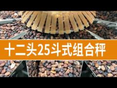20 επικεφαλής Weigher 1.6L 2.5L Multihead για το φασόλι σοκολάτας ζάχαρης QQ ξηρό - φρούτα
