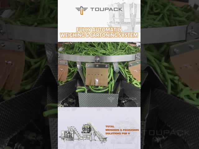 Máquina automática de llenado de frutas Cereza arándanos fresa naranja pimienta verde bandeja caja máquina de llenado de embalaje