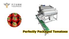 High-Efficiency Automated Weighing & Packaging System for Cherry Tomatoes & Small Fruits