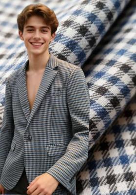 China 27%Rayon 70%Polyester 3%Spandex 260gsm Check Wrinkle-Resistant And Durable Smooth Texture Fabric for sale