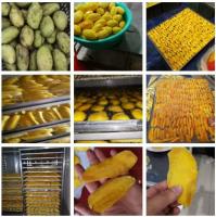 China Heat Pump Dryer for drying mango for sale