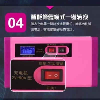 Cina il CA 24V ha introdotto i caricatori della batteria al piombo rende paricolare la protezione di bassa tensione di controllo in vendita