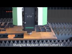 Macchina di taglio laser per lamiere di metallo cnc IPG con testa laser Raytools