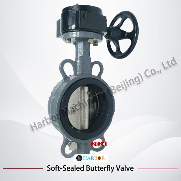 Quality Water Medium DN40-DN700 Manual Turbine Cast Steel Soft-Seal Butterfly Valve for sale