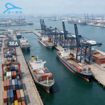 China DDP Freight Forwarder Shipping Agent , Door To Door Freight Shipping From China To USA for sale