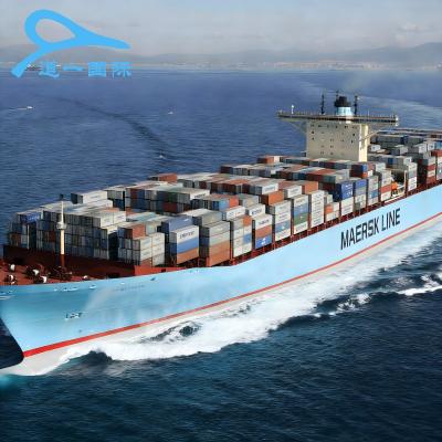China DDP Shipping Freight Forwarder with Fast Transit to Global Ports from China for sale