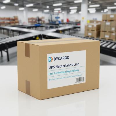China DYCARGO USA Air Freight DDP Door-to-Door Service with 6-12 Working Days Delivery and Customs Clearance Expertise for sale