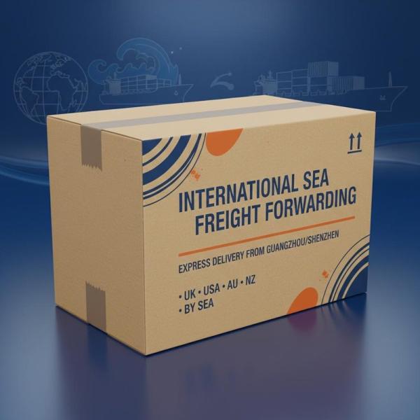 Quality International Sea Freight Forwarding with Express Delivery and Door To Door Fast Sea Shipping Services for sale