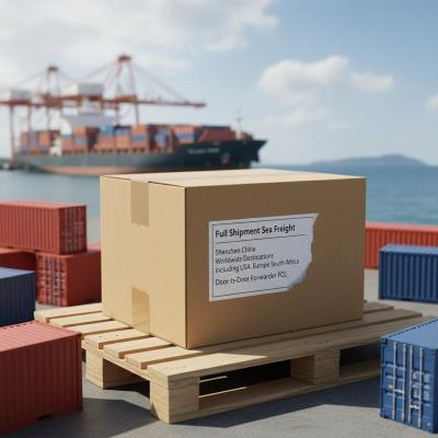 China Professional Freight Forwarding and Logistics Services with Door-to-Door Delivery Double Clearance and Tax-Included DDP Shipping for sale