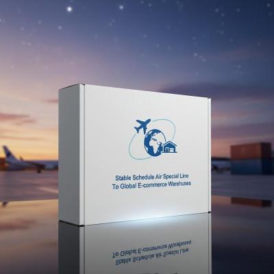China Stable Schedule Air Special Line To Global E-commerce Warehouses for sale