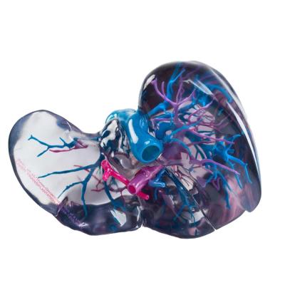 China RESIN Material Full Color 3D Printing Polyjet For Medical Prototype STL Files for sale