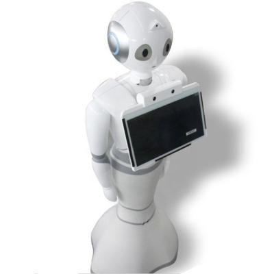 China Smart Robot Model SLA 3D Printing Resin TPU Control 100% Inspection Professional for sale