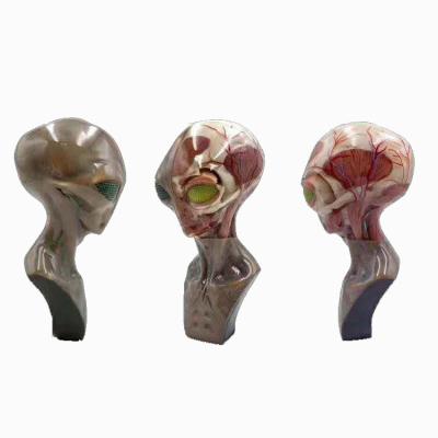 China High Resolution Multicolor 3D Printing Service | Medical Applications with SLM Process for sale
