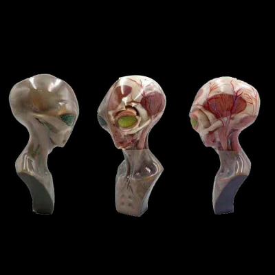 中国 高解像度マルチカラー3Dプリンティングサービス | SLMプロセスによる医療用途 販売のため