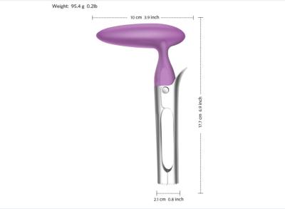 Cina Strumenti dell'aggeggio della cucina SUS304, materiale dell'ABS del dispositivo di rimozione del centro di Apple in vendita