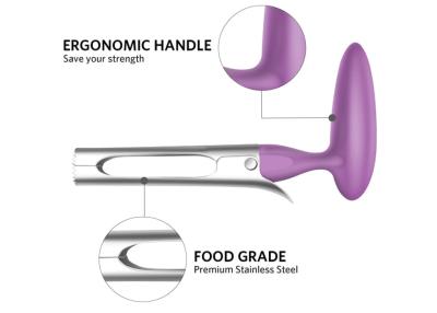 Cina Strumenti dell'aggeggio della cucina SUS304, materiale dell'ABS del dispositivo di rimozione del centro di Apple in vendita