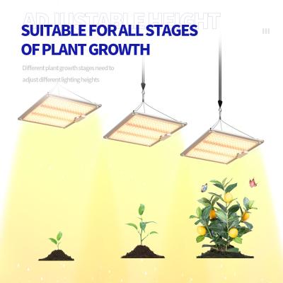 중국 600W HPS 4x4 성장 빛 식물 램프 꽃 피고 과일을 촉진 판매용