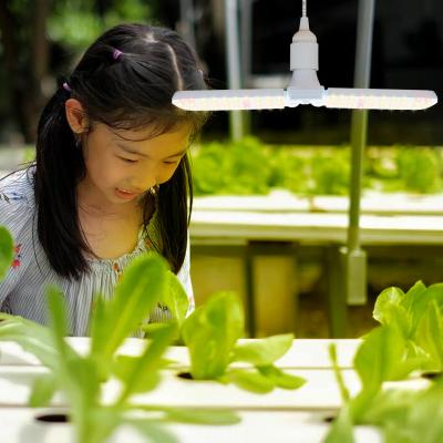 China Compact LED Grow Lights For Vegetables 20W 40W IP68 Waterproof for sale
