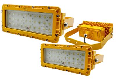 China Atex Rated Explosion Proof Lighting Fixtures Class 1 Division 1 OEM for sale