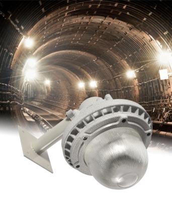 中国 IP65防水防爆型化学工業用ランプ 120W 販売のため