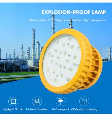 China IP65 100W LED Explosion-Proof Lights for Oil Fields Petrochemical Drilling Chemical Enterprises for sale