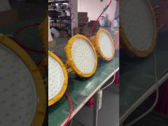 Luce a prova di esplosione Ip65 Gas Station Lighting 50w 100w 150w Lampada a prova di esplosione a LED