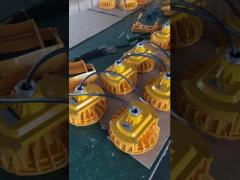 IP65  100W LED Explosion-Proof Lights for Oil Fields Petrochemical Drilling Chemical Enterprises