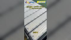 Tunnel Farm3000-6500K Led Floodlight Outdoor Wall Mount Aluminum