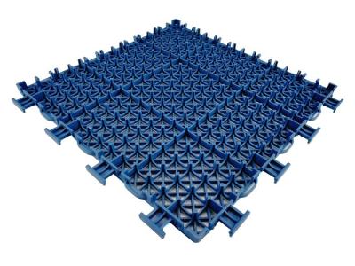 Cina Sport modulari antimicrobici di aspetto squisito che pavimentano per l'asilo in vendita
