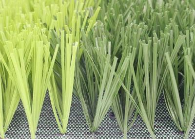 Cina Erba falsa del tappeto erboso di Dtex di economia regolare 12000/calcio artificiale dell'erba in vendita