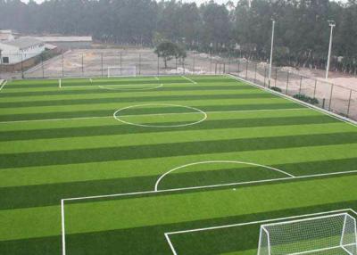 China Grama artificial confortável do campo de futebol com luz do revestimento protetor dos PP + da REDE - verde à venda