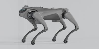 China Intelligent Robot Dog With 2D LiDAR L1 Automatic Telescopic Handle Strap For Autonomous Navigation And Mapping for sale