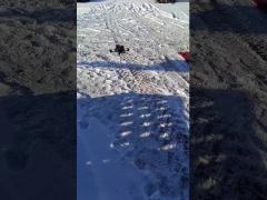 Μεγιστοποιήστε το χρόνο πτήσης με το FPV Drone και την θερμική κάμερα για βέλτιστες επιδόσεις