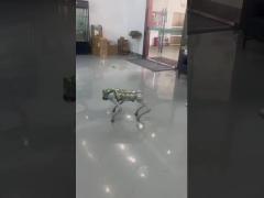Intelligent Robot Dog With 2D LiDAR L1 Automatic Telescopic Handle Strap For Autonomous Navigation And Mapping