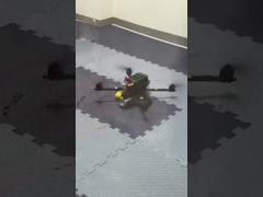 FPV
