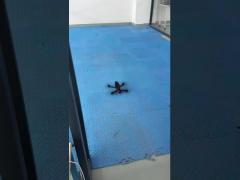 FPV