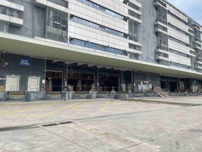 Cina Shanghai International Bonded Warehouses Value Added Sorting Services Customs Clearance in vendita